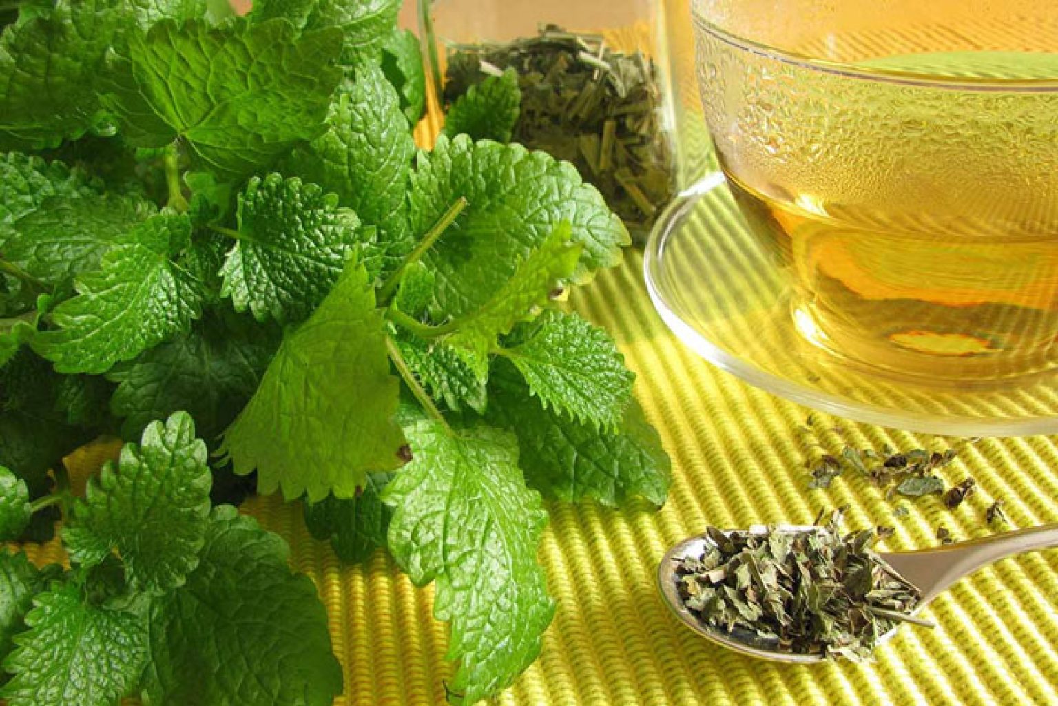 طرز تهیه دمنوش بادرنجبویه خواص دمنوش بادرنجبویه ستاره