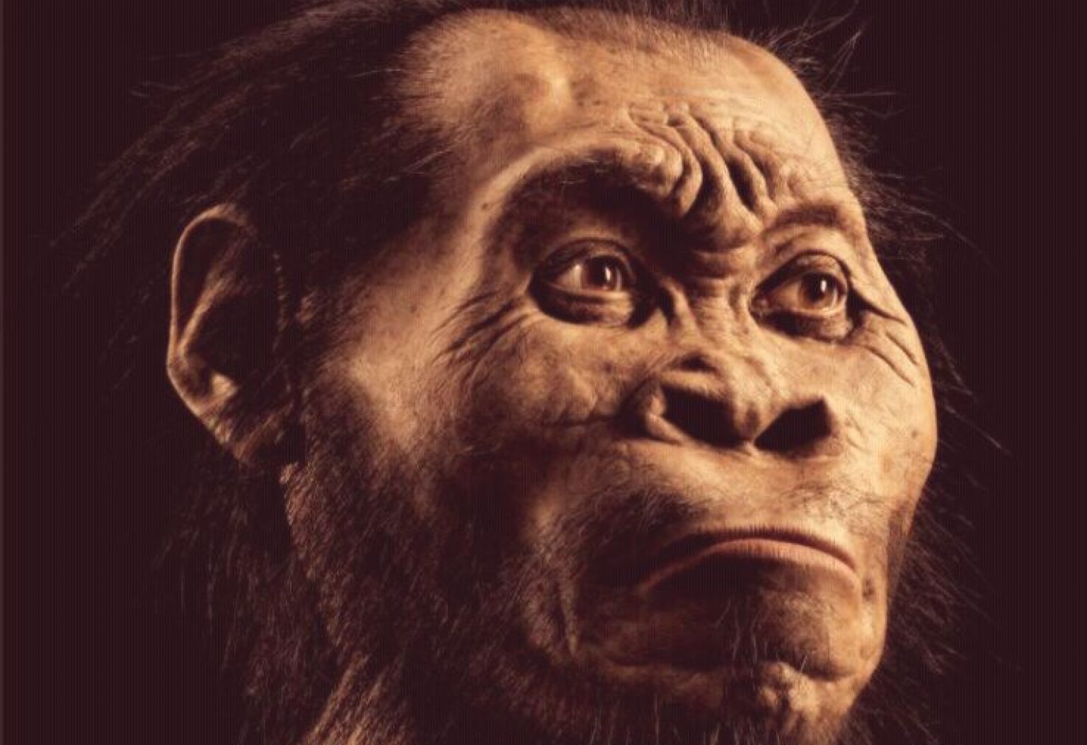 نسناس کیست و در چه زمانی می‌زیسته است؟ - ستاره