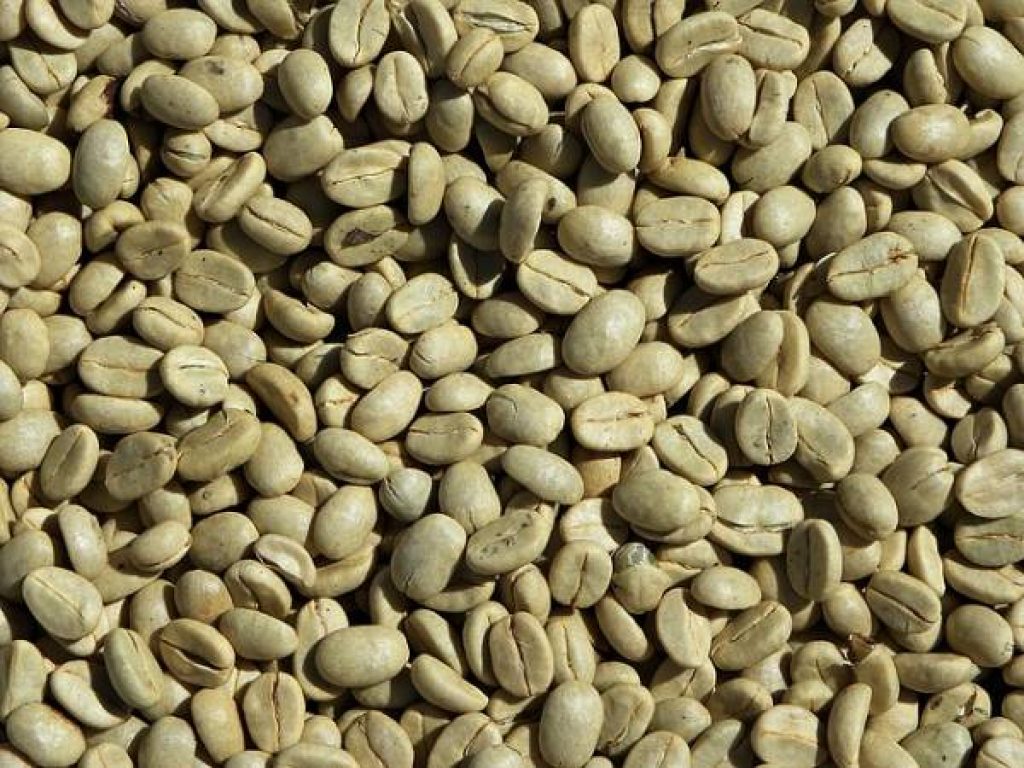 قهوه سبز برای لاغری خوبه؟ طرز تهیه و مصرف، مزایا و عوارض - ستاره