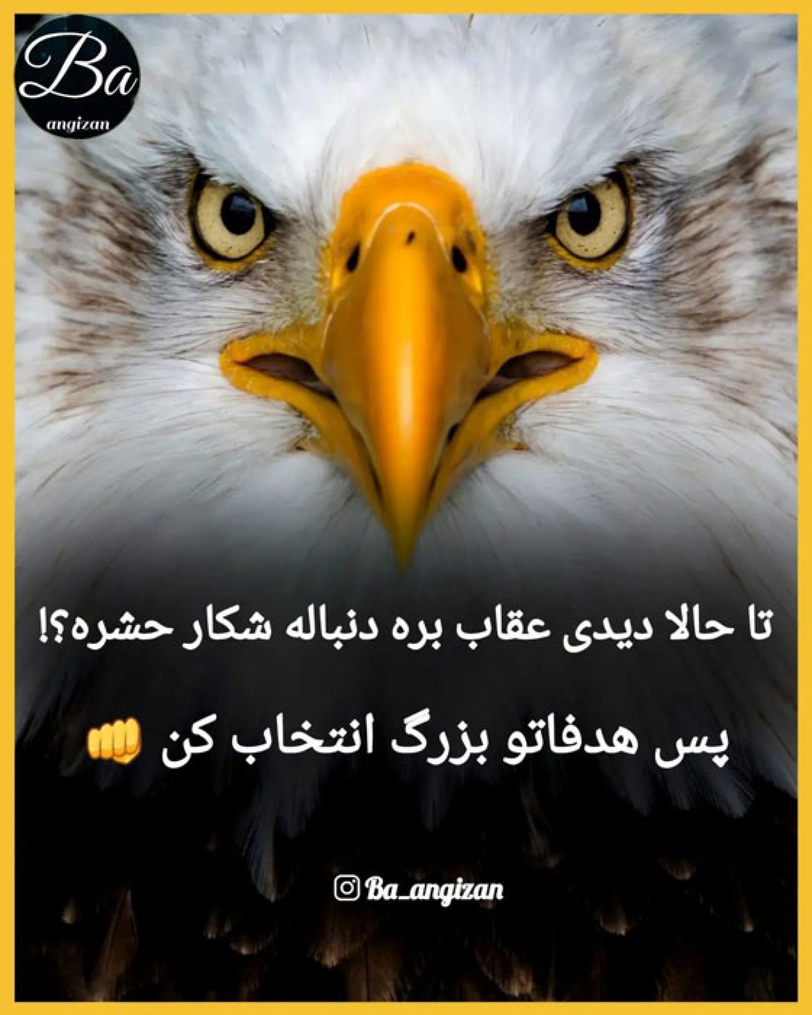 ۵۰ شعر و متن در مورد عقاب و پرواز عقاب، بسیار زیبا - ستاره