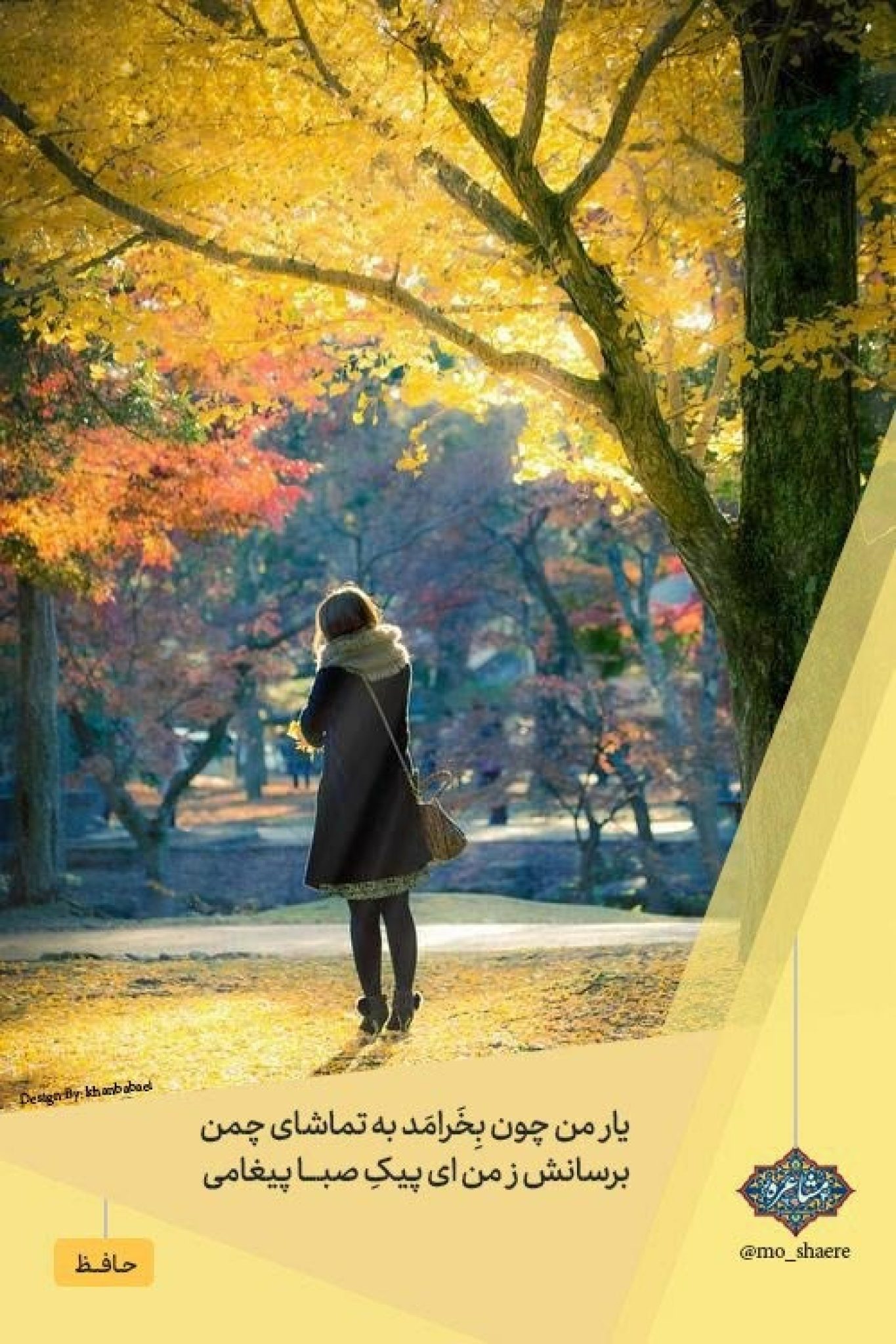 مشاعره با ی، تک بیتی های زیبا از حافظ، سعدی،‌ مولانا و عراقی - ستاره