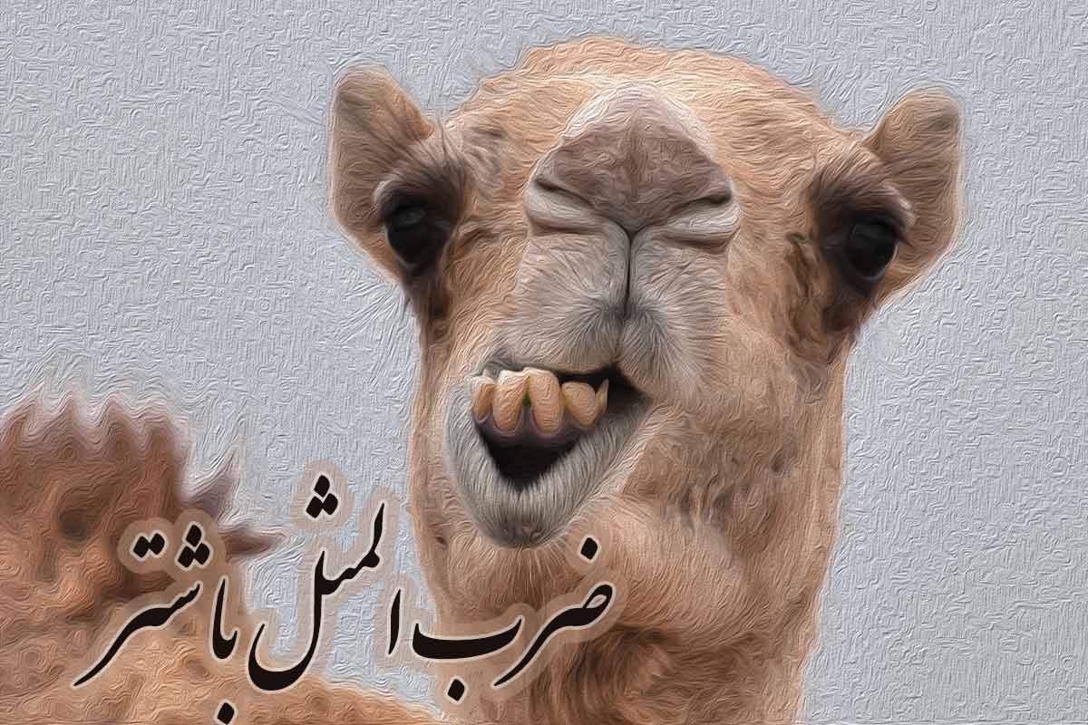 ضرب المثل با شتر | انواع ضرب المثل های فارسی با شتر - ستاره