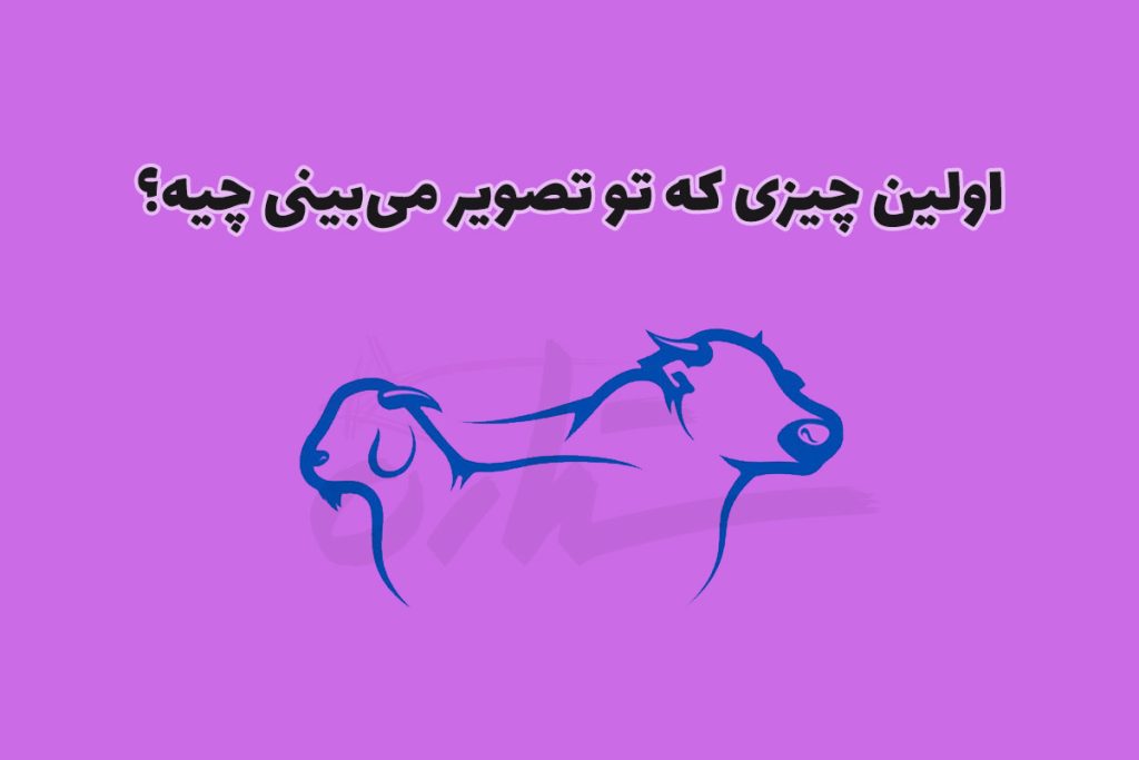 تست شخصیت بگو توی تصویر، اول چی دیدی تا بهت بگم جسوری یا محتاط ستاره