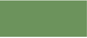 انواع رنگ سبز با اسم | لیست کامل طیف رنگی سبز - ستاره