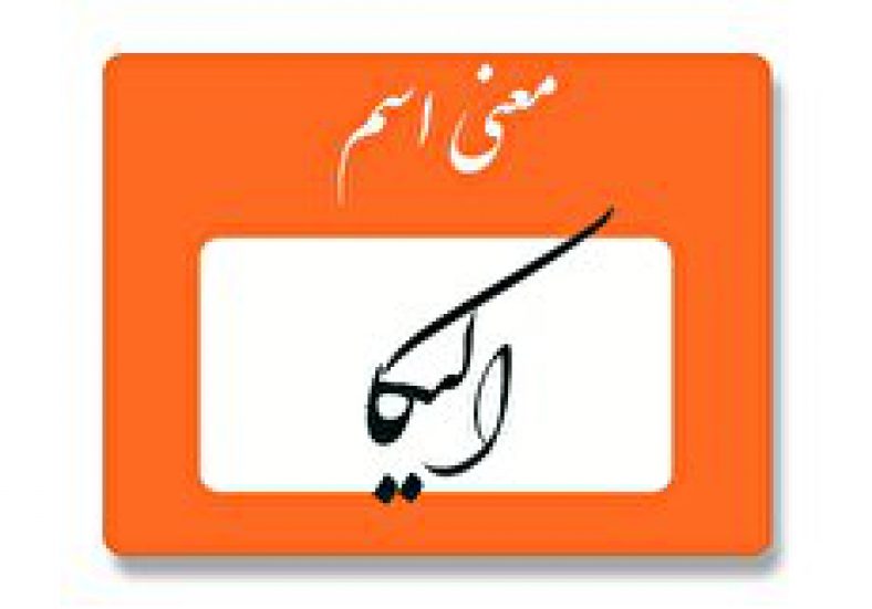 معنی اسم الیکا چیست؟ ریشه، فراوانی و اسم های مشابه الیکا • ستاره