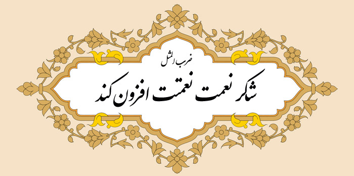 معنی ضرب المثل شکر نعمت نعمتت افزون کند و شعر و داستان آن | ستاره